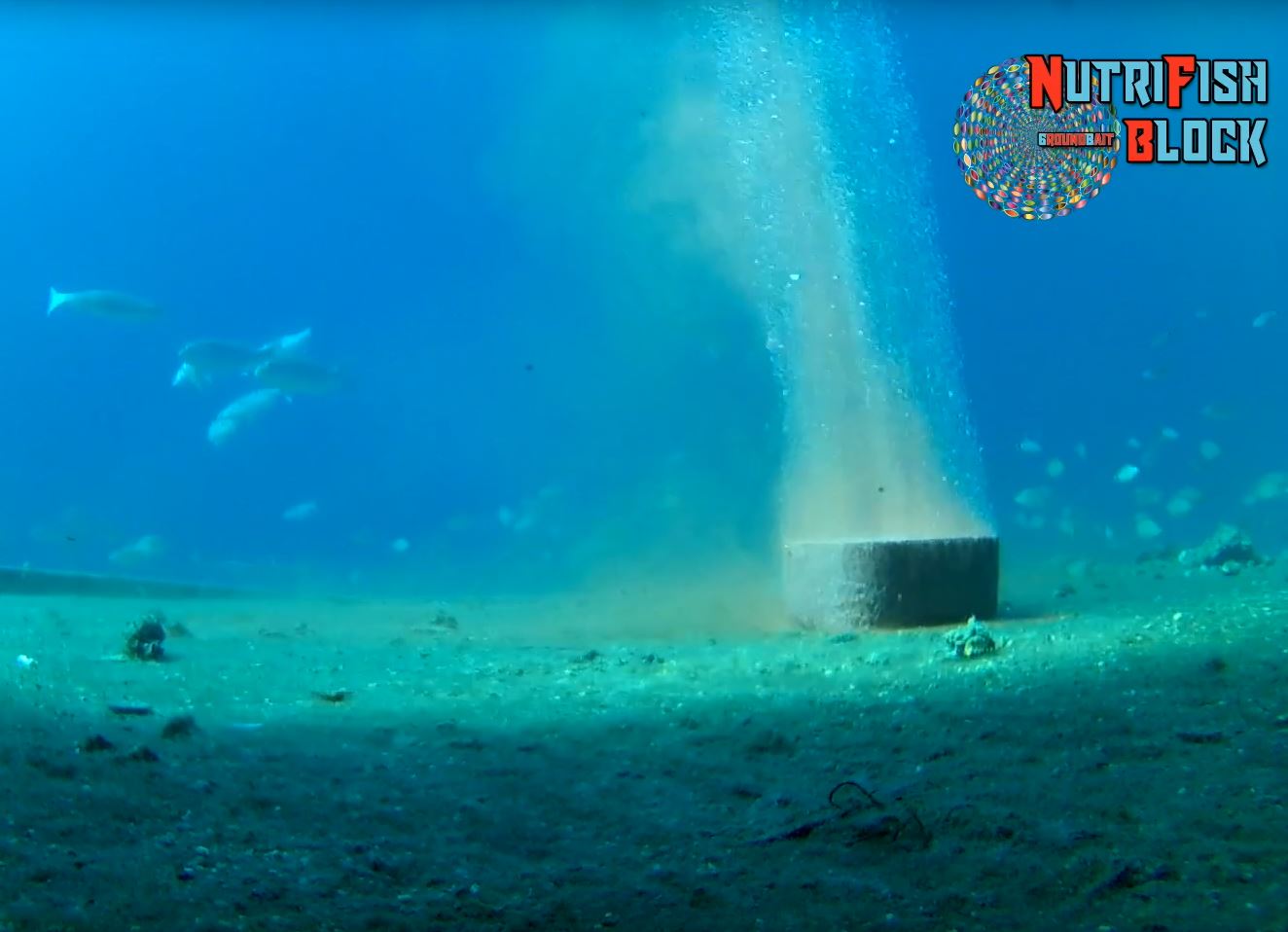 GFS NUTRIFISH GROUND BAIT BLOCK